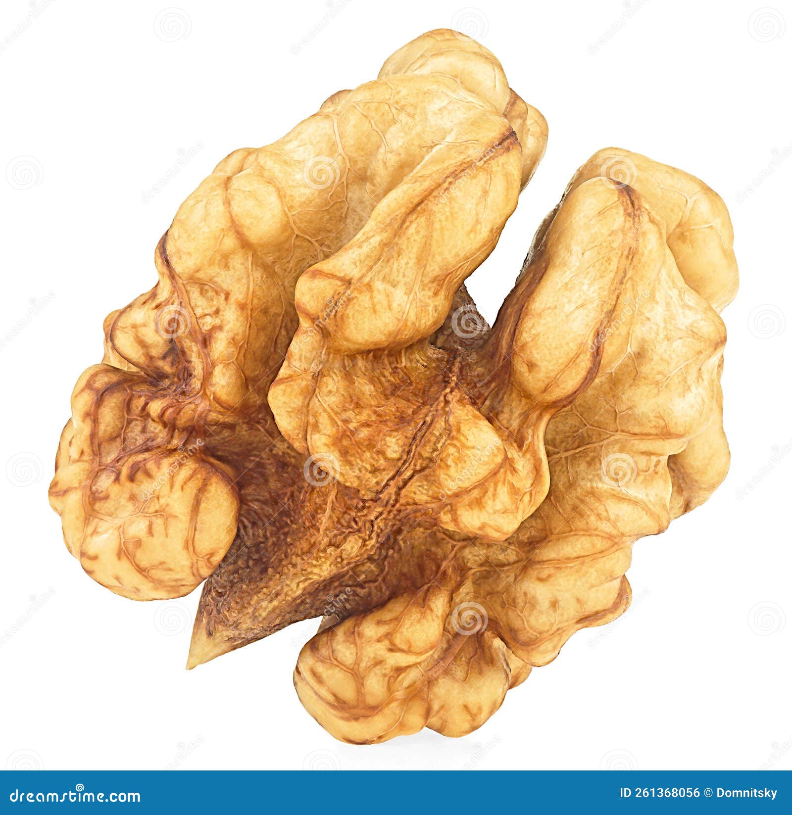 Kernel Walnut Isolated on White Background. Peeled Walnut. Walnut Seed ...