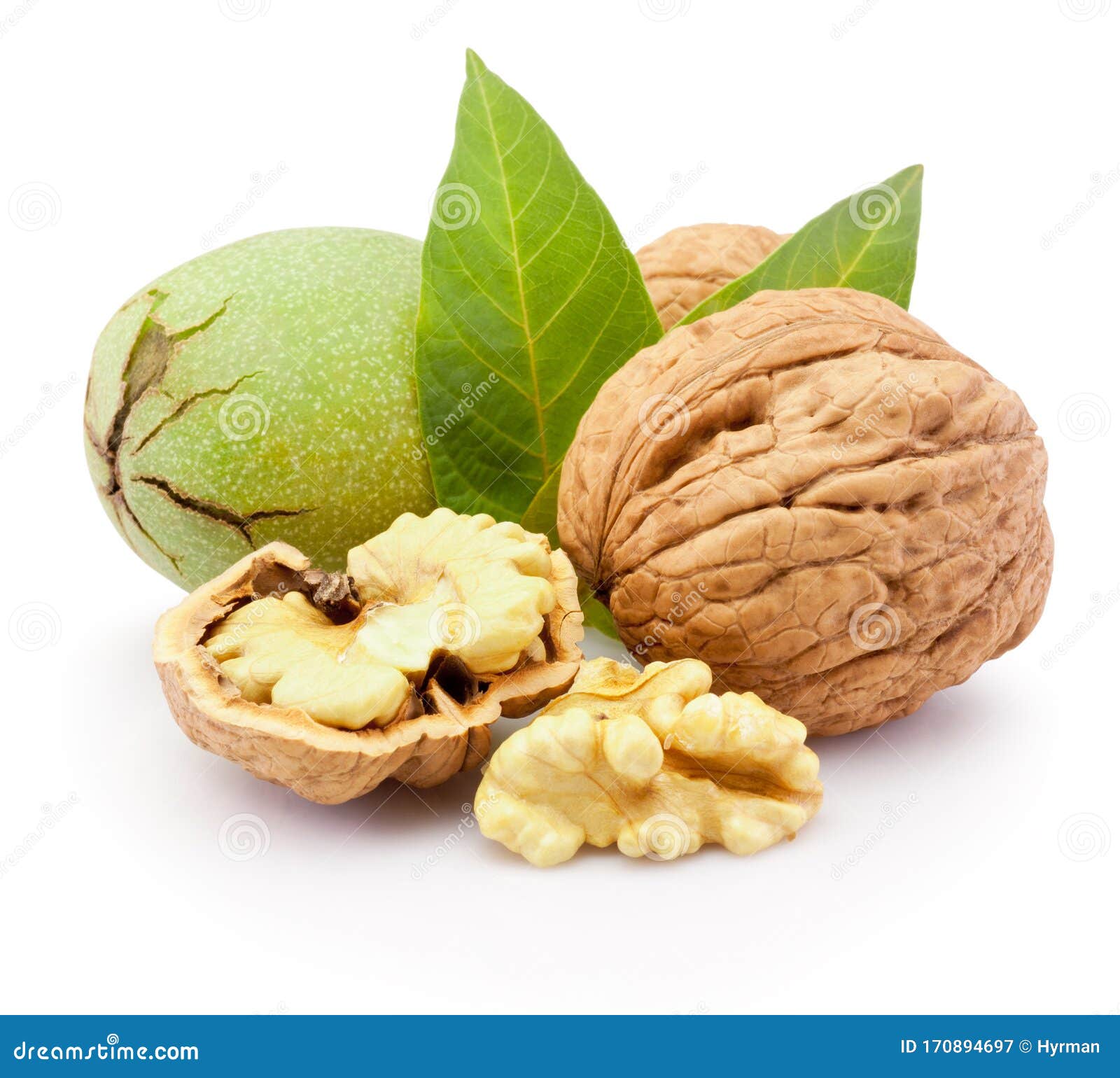 Whole Walnut On The Table. Texture Royalty-Free Stock Photo ...