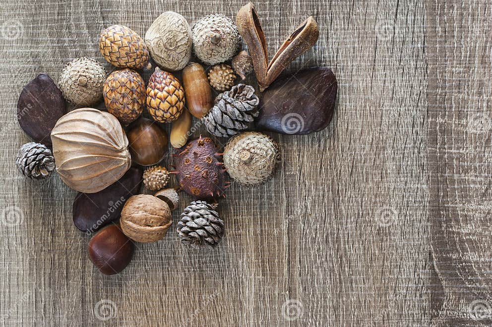 Kernels and seeds stock photo. Image of plant, healthy - 66886900