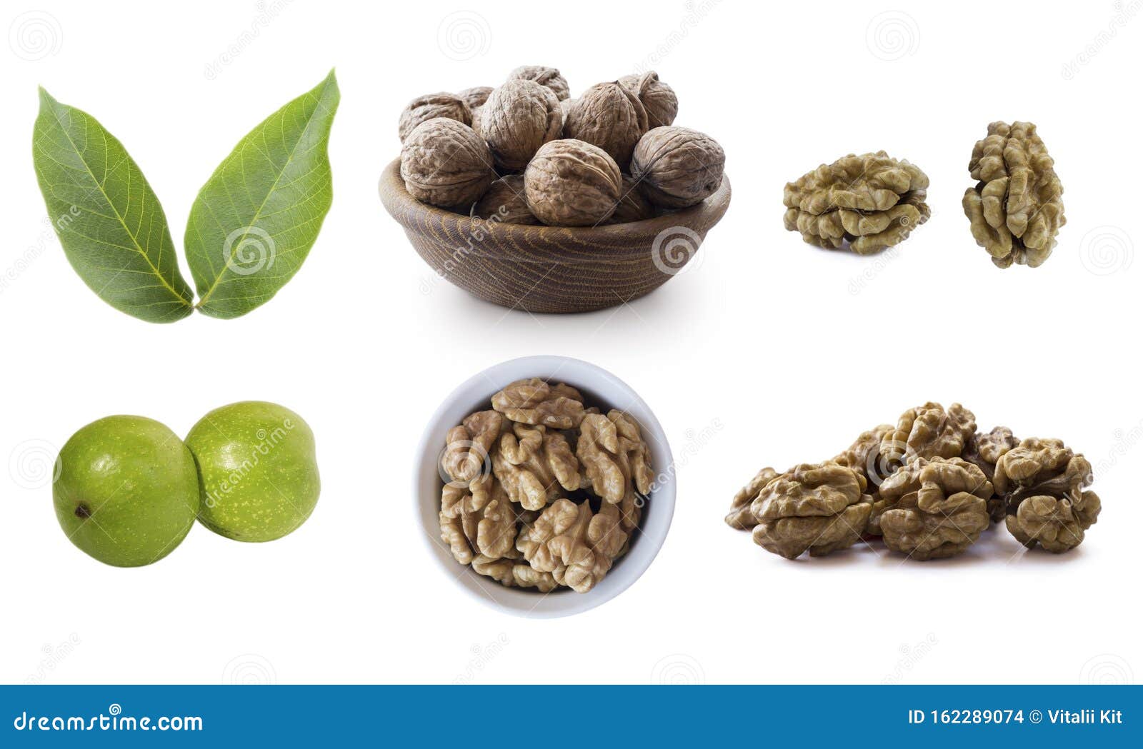 Kernels Walnuts and Young Nuts in the Shell Isolated on White ...