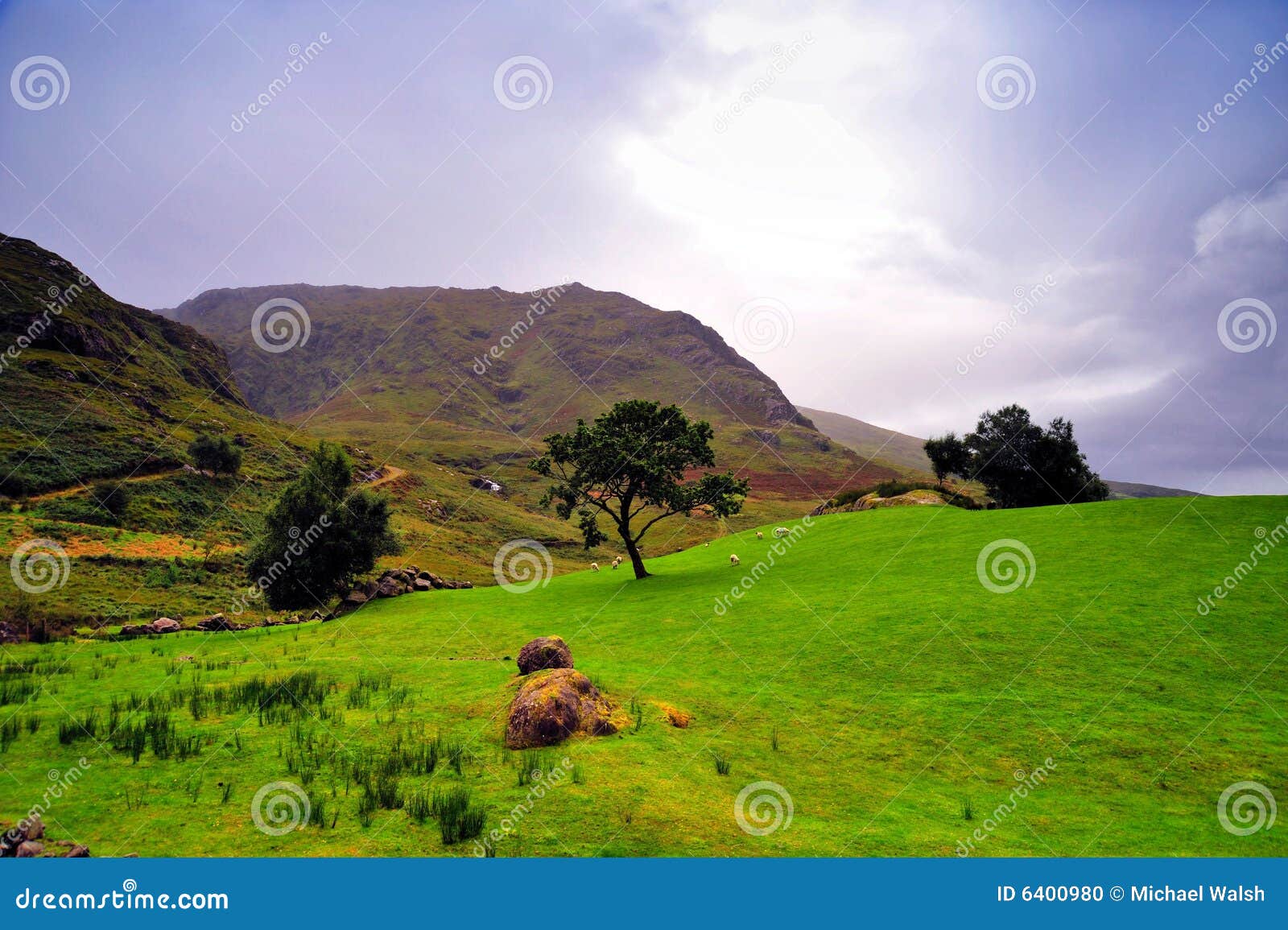 Kerry Landscape stock photo. Image of field, grass, nature - 6400980