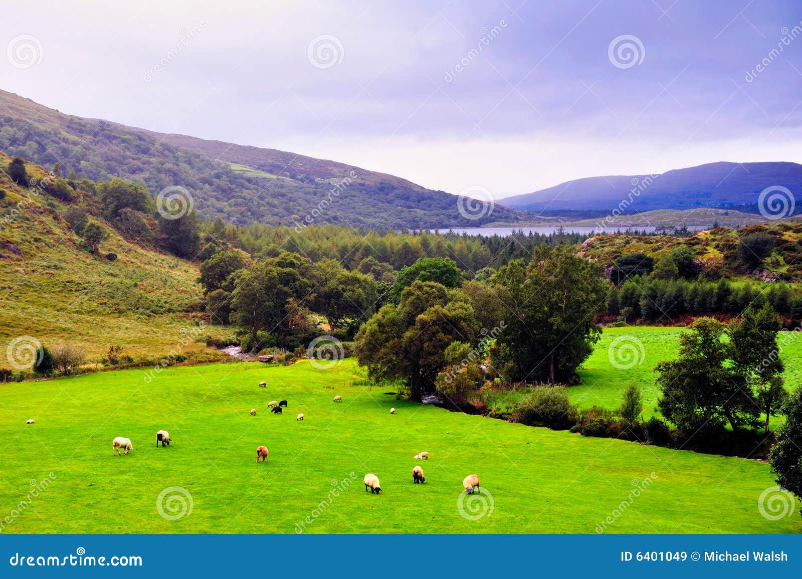 Kerry Landscape stock image. Image of eire, rural, europe - 6401049
