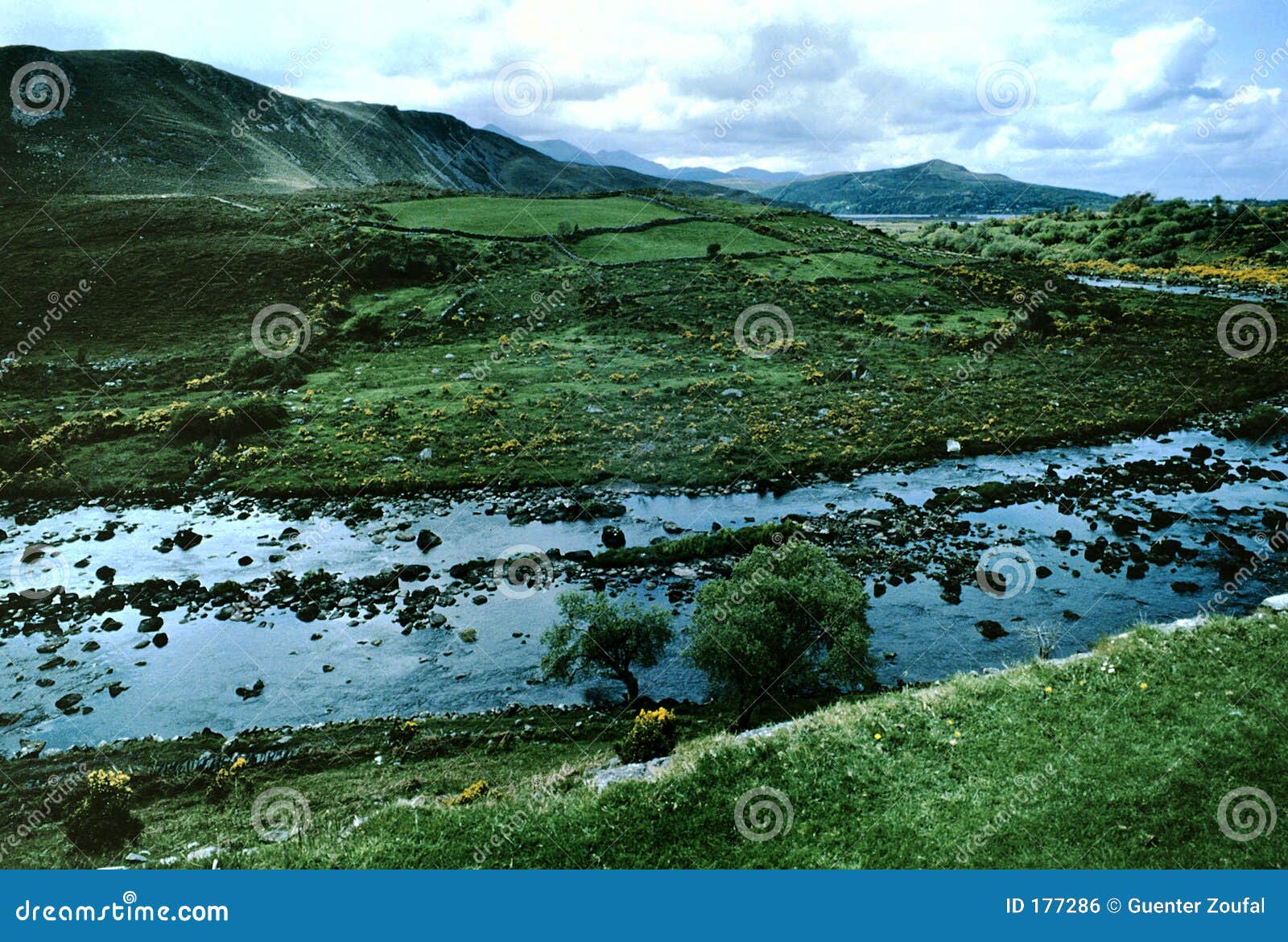 Kerry Landscape, Eire stock photo. Image of flower, ireland - 177286