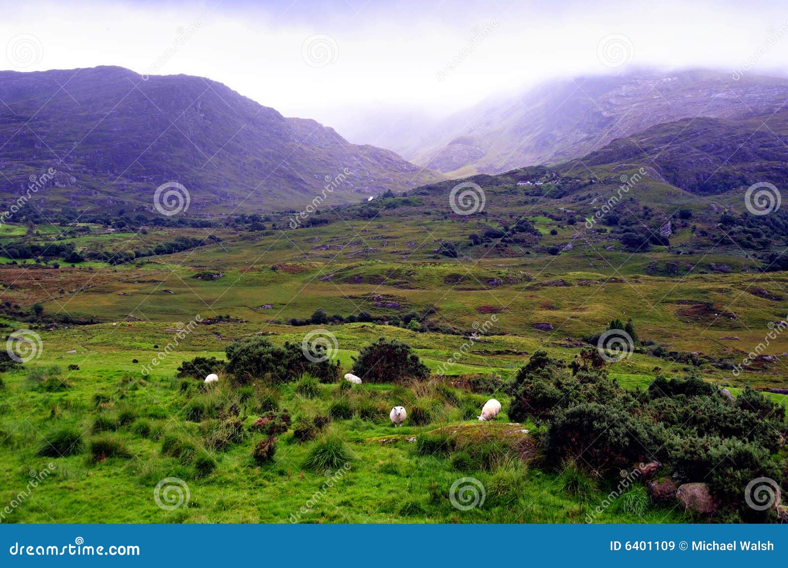 Kerry Mountains stock image. Image of grass, kerry, peak - 6401109