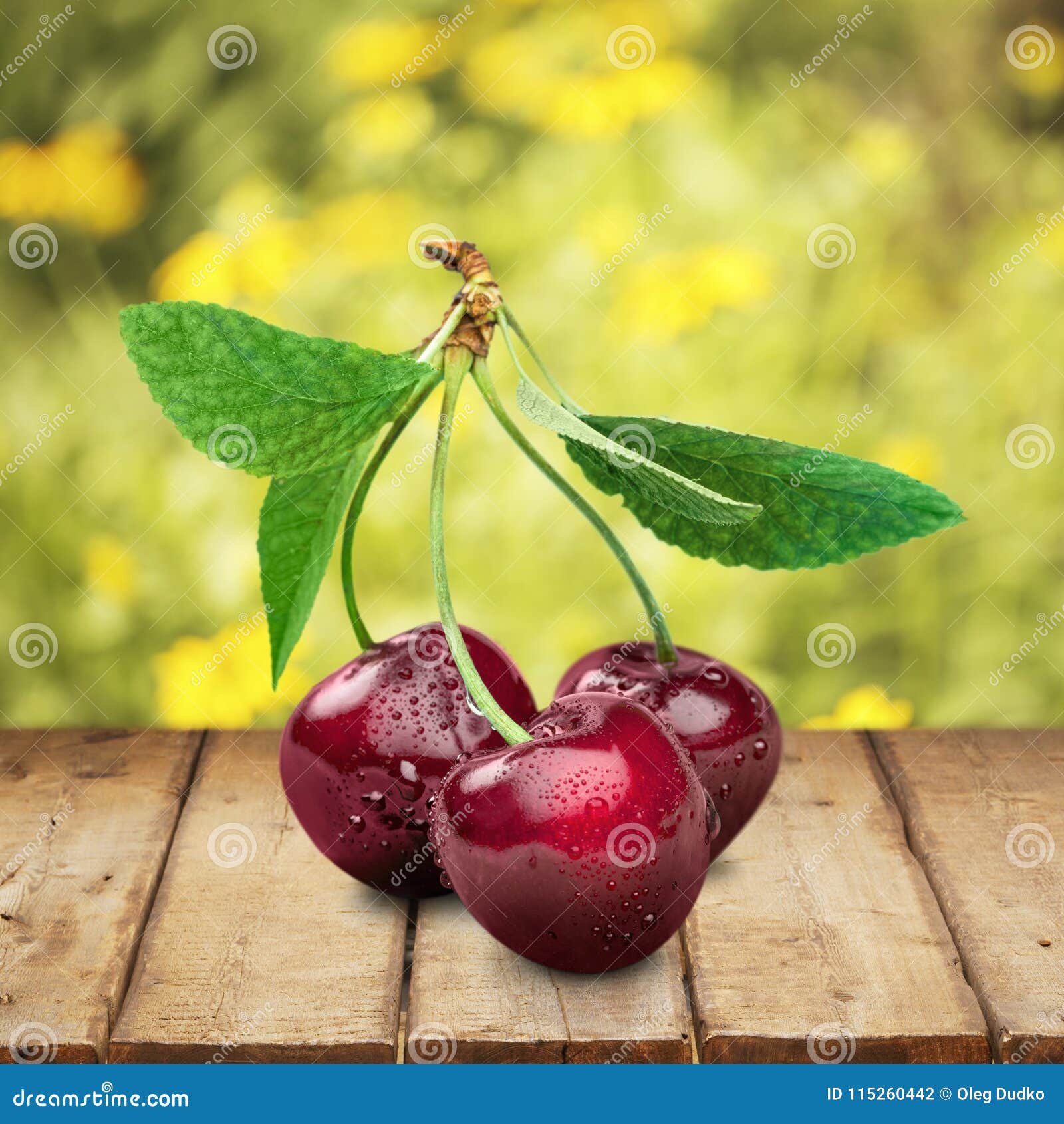 Kers stock foto. Image of kers, voedsel, vrucht, rood - 115260442