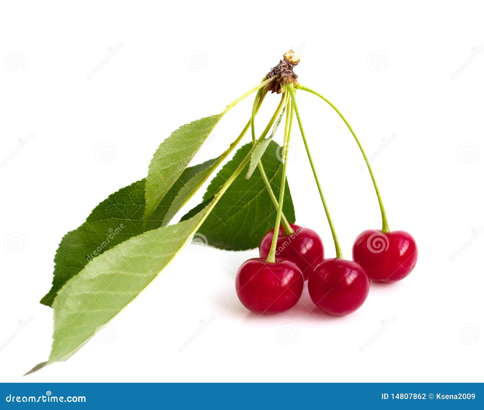 Kers stock foto. Image of leven, knippen, zoet, hoop - 14807862