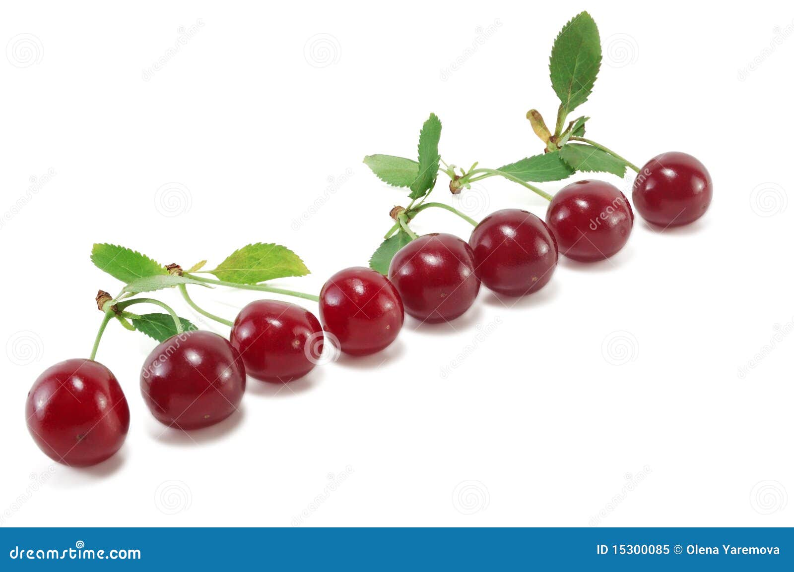 Kers stock afbeelding. Image of versheid, kers, rood - 15300085