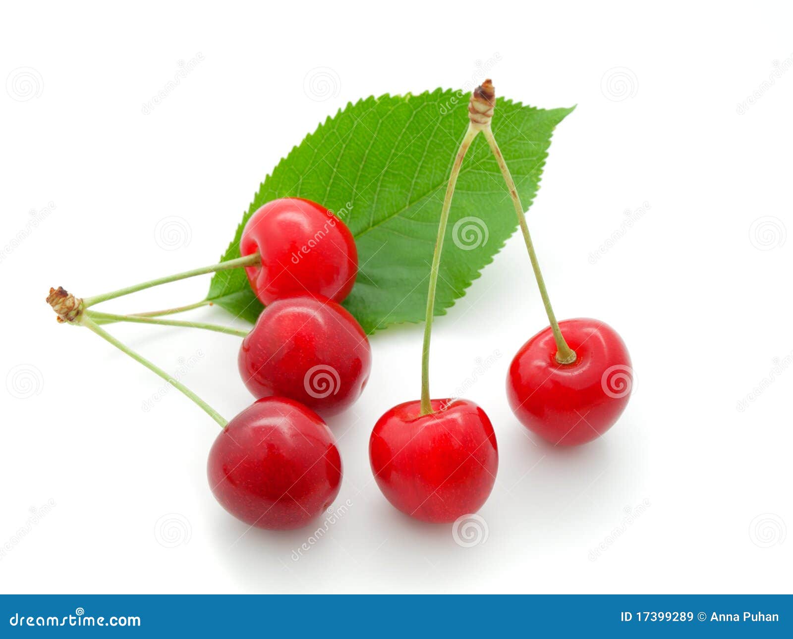 Kers stock afbeelding. Afbeelding bestaande uit tuin - 17399289