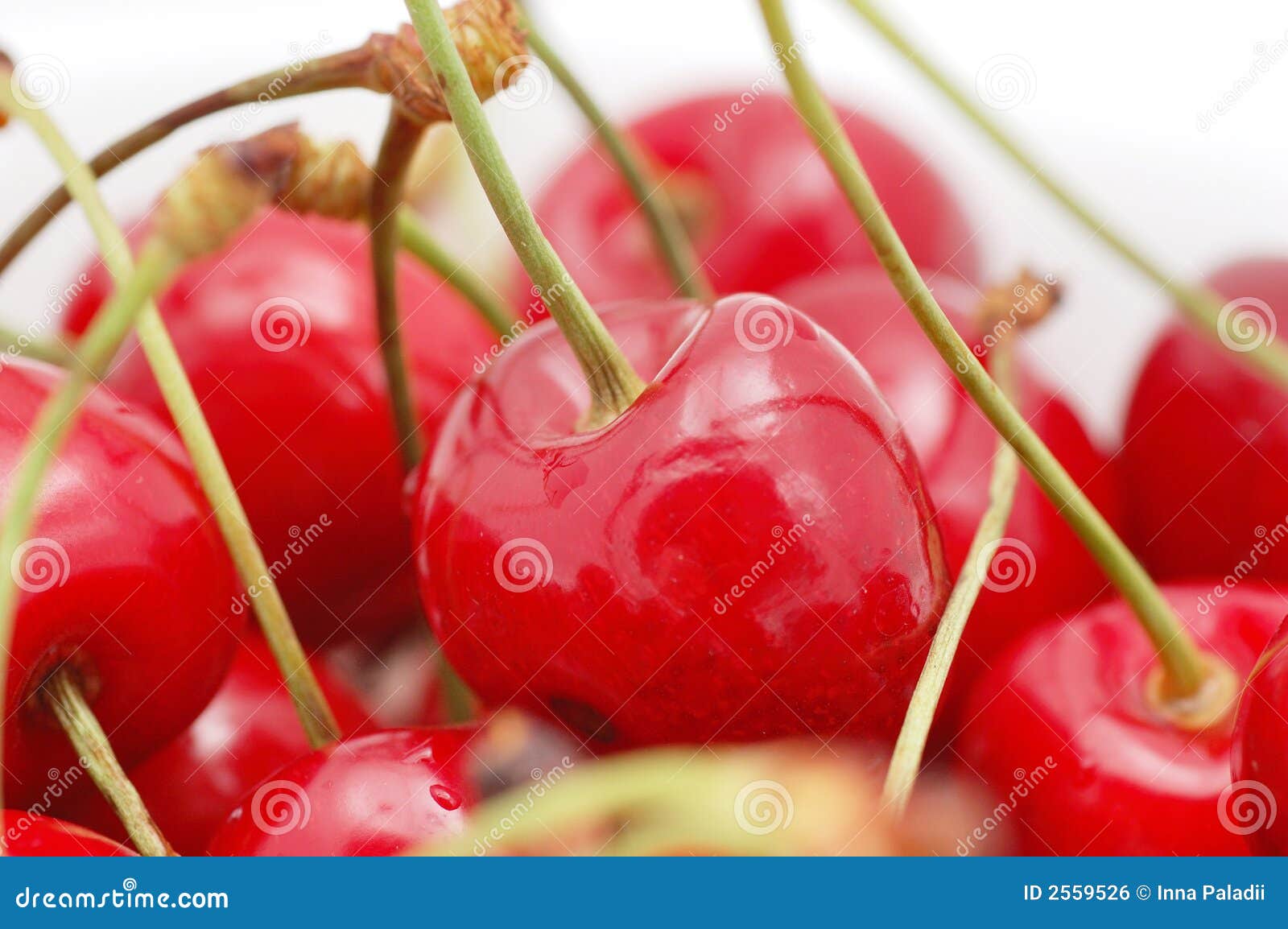 Kers stock foto. Image of veganistisch, stam, levensstijl - 2559526