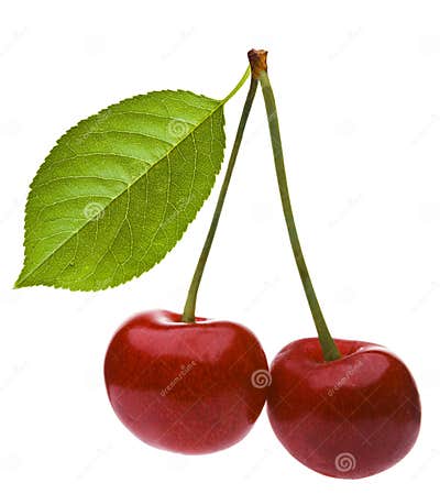 Kers stock foto. Image of nagerecht, voorwerp, achtergrond - 3089738