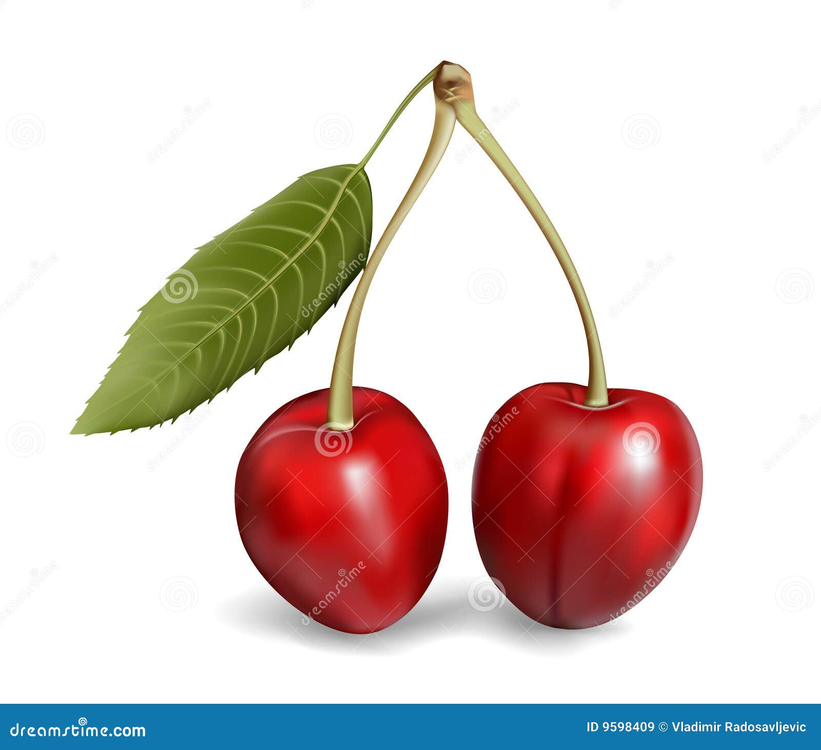 Kers vector illustratie. Illustration of heerlijk, voorwerp - 9598409