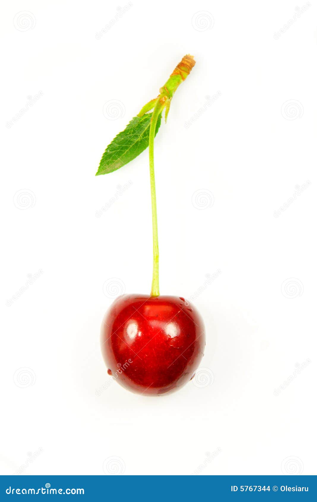 Kers Met Fruitstam En Groen Blad Stock Foto - Image of gieter, tweeling ...