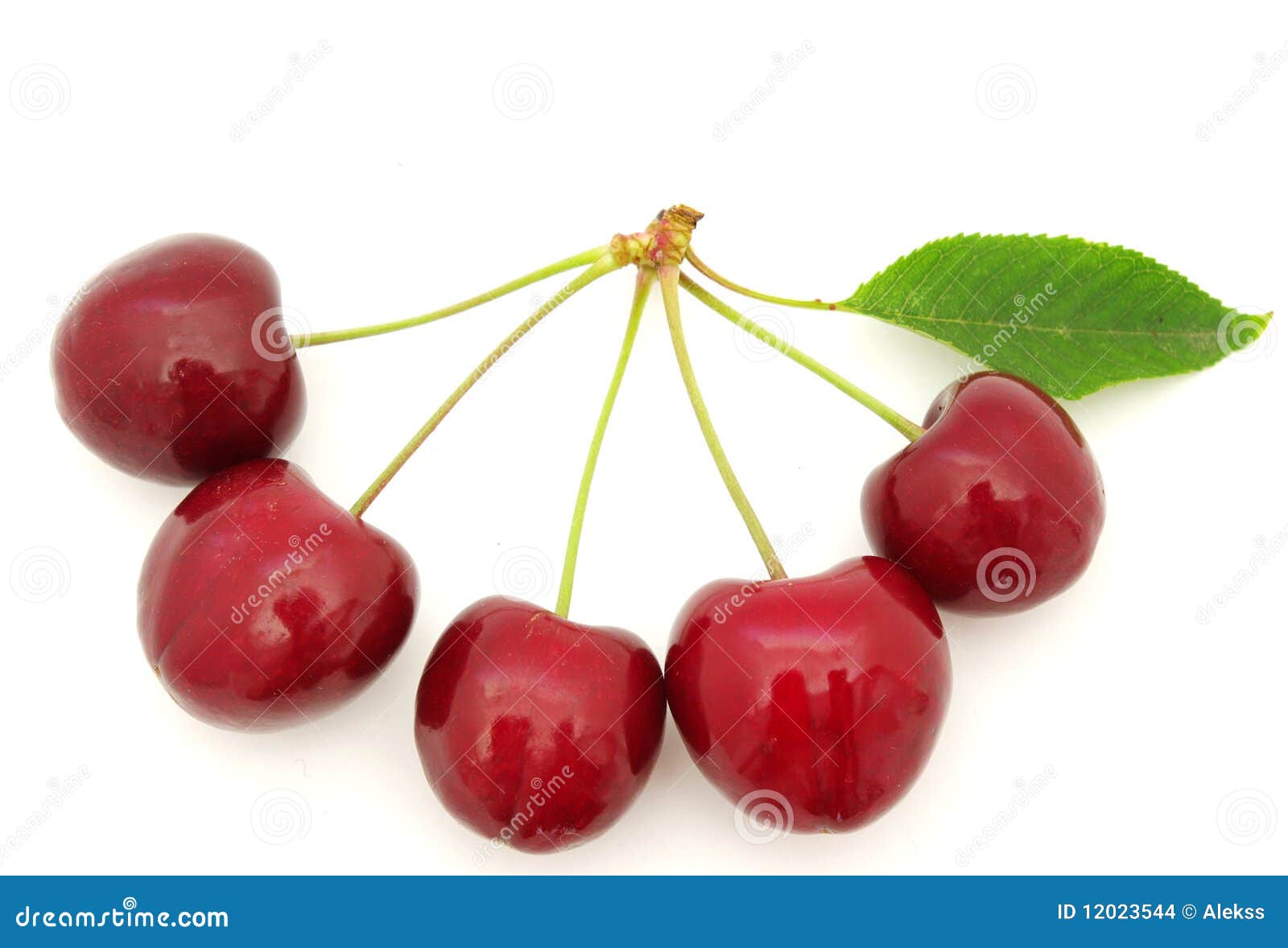 Kersen stock foto. Image of versheid, blad, landbouw - 12023544