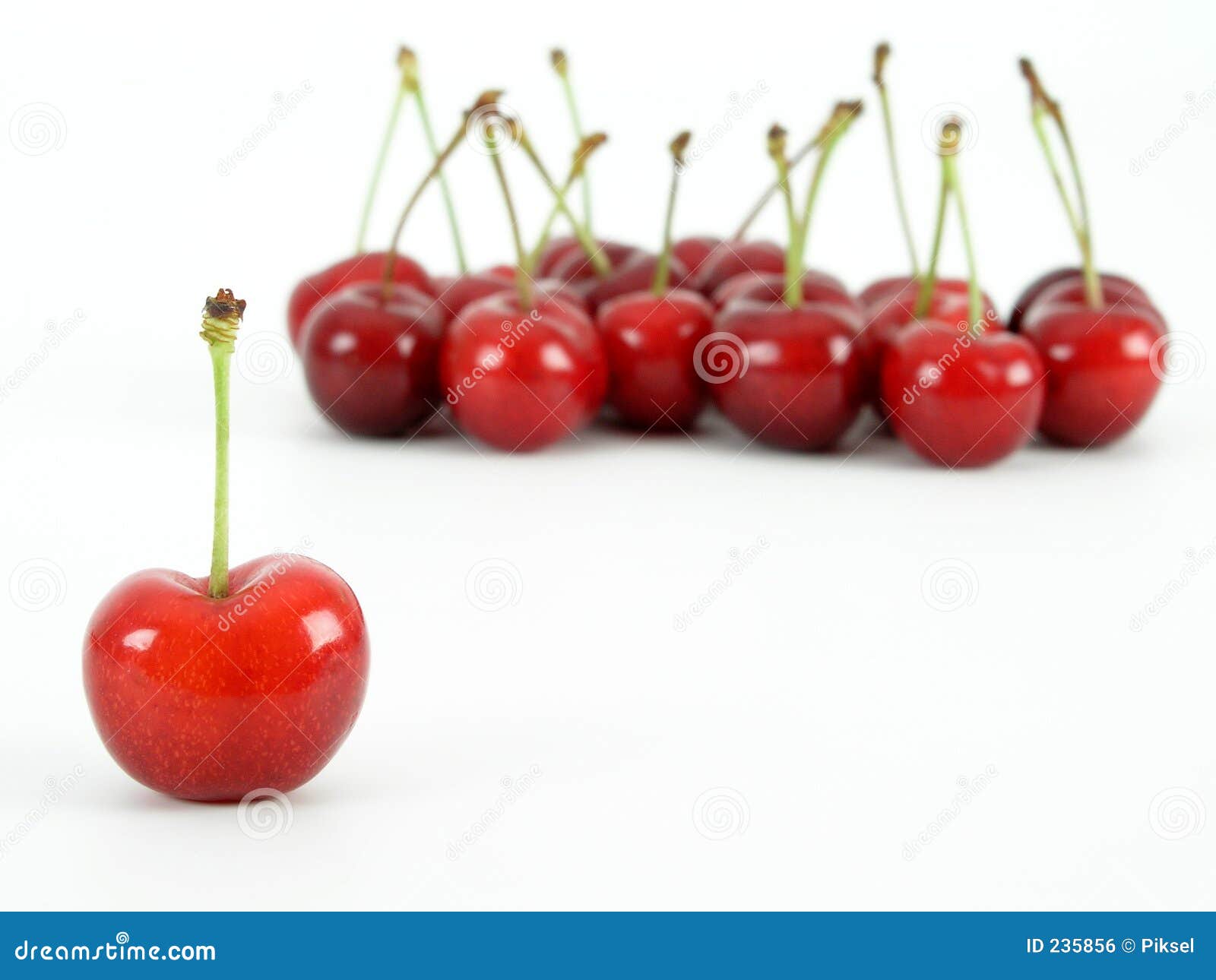 Kersen stock foto. Image of kersen, studio, schot, leven - 235856