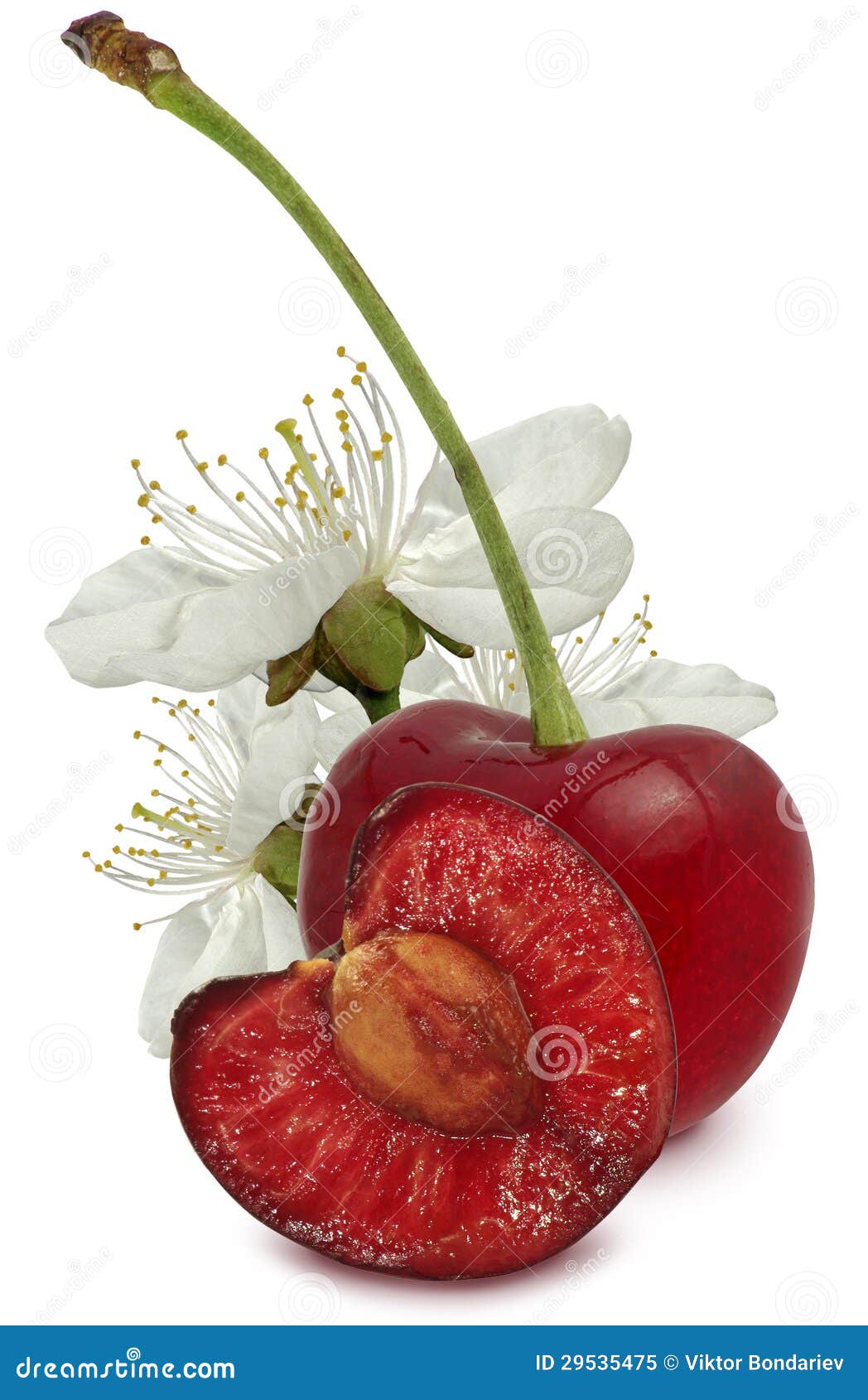 Kersen stock afbeelding. Image of verfrissing, rijp, vers - 29535475