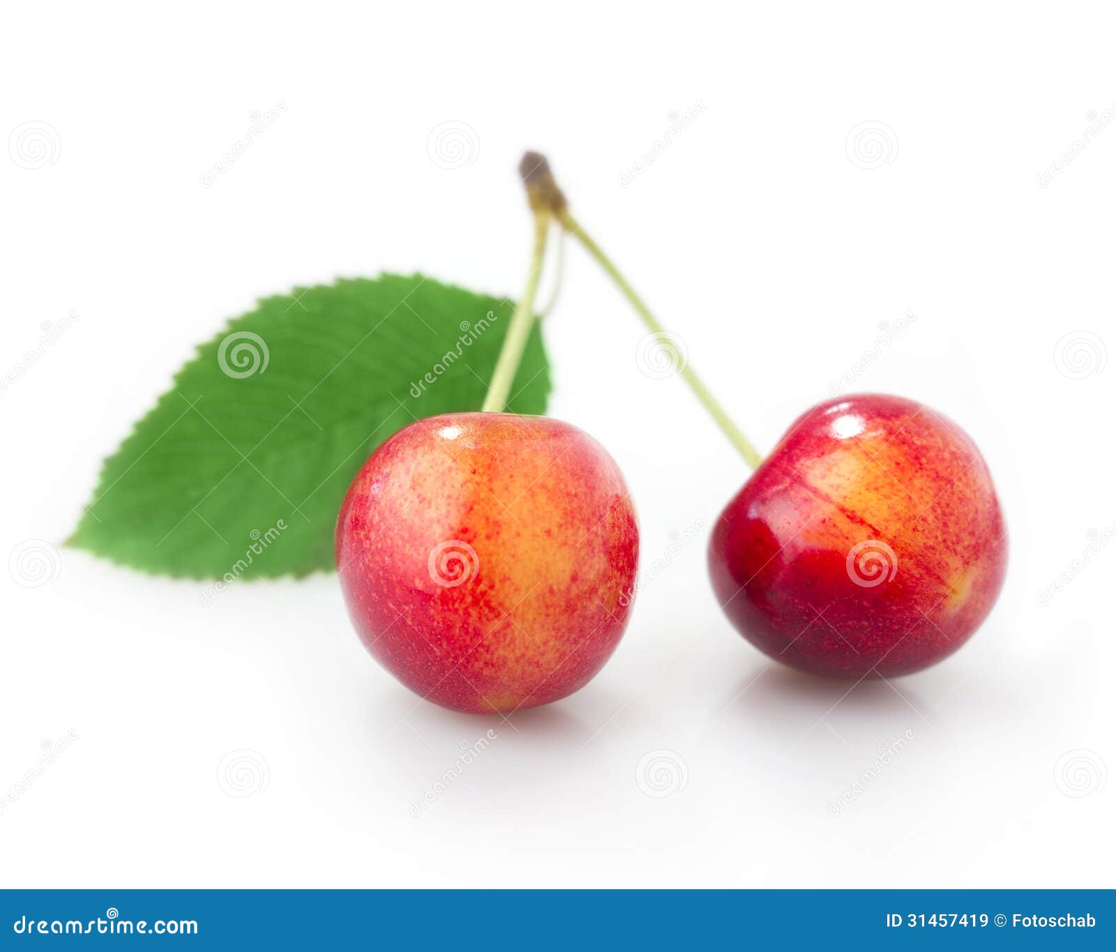 Kersen stock afbeelding. Image of vrucht, niemand, kers - 31457419