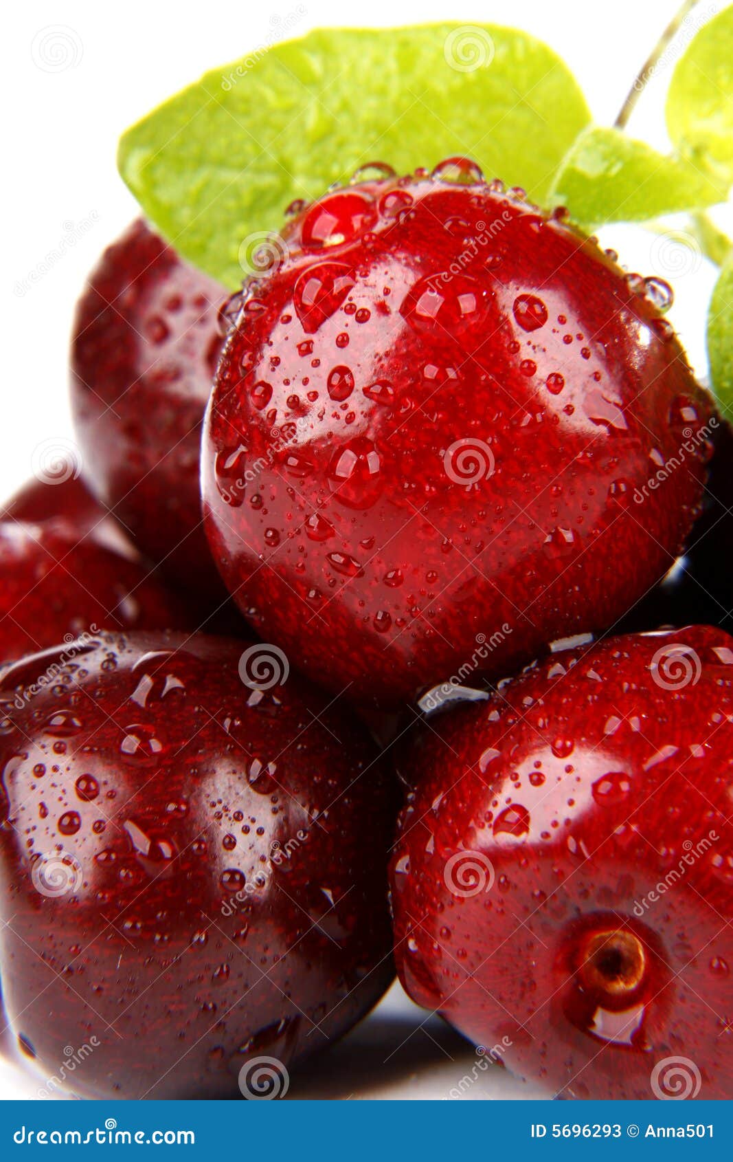 Kersen stock afbeelding. Image of kruiden, voedsel, snack - 5696293