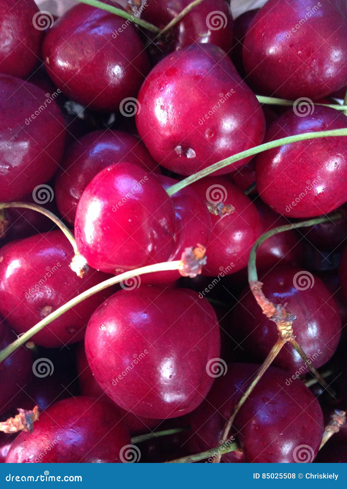 Kersen stock foto. Image of eilanden, nantes, beperkt - 85025508