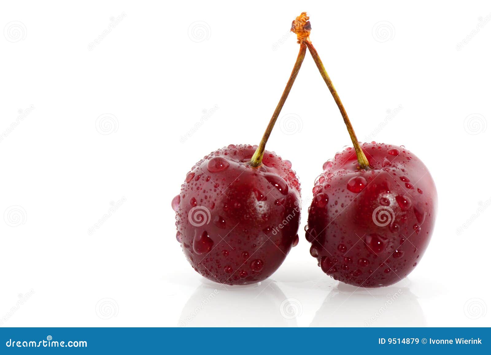 Kersen stock afbeelding. Image of geplukt, rijp, geïsoleerd - 9514879