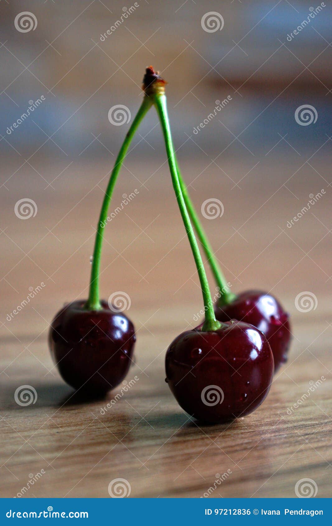 Kersen stock foto. Image of bruin, vrucht, houten, rood - 97212836