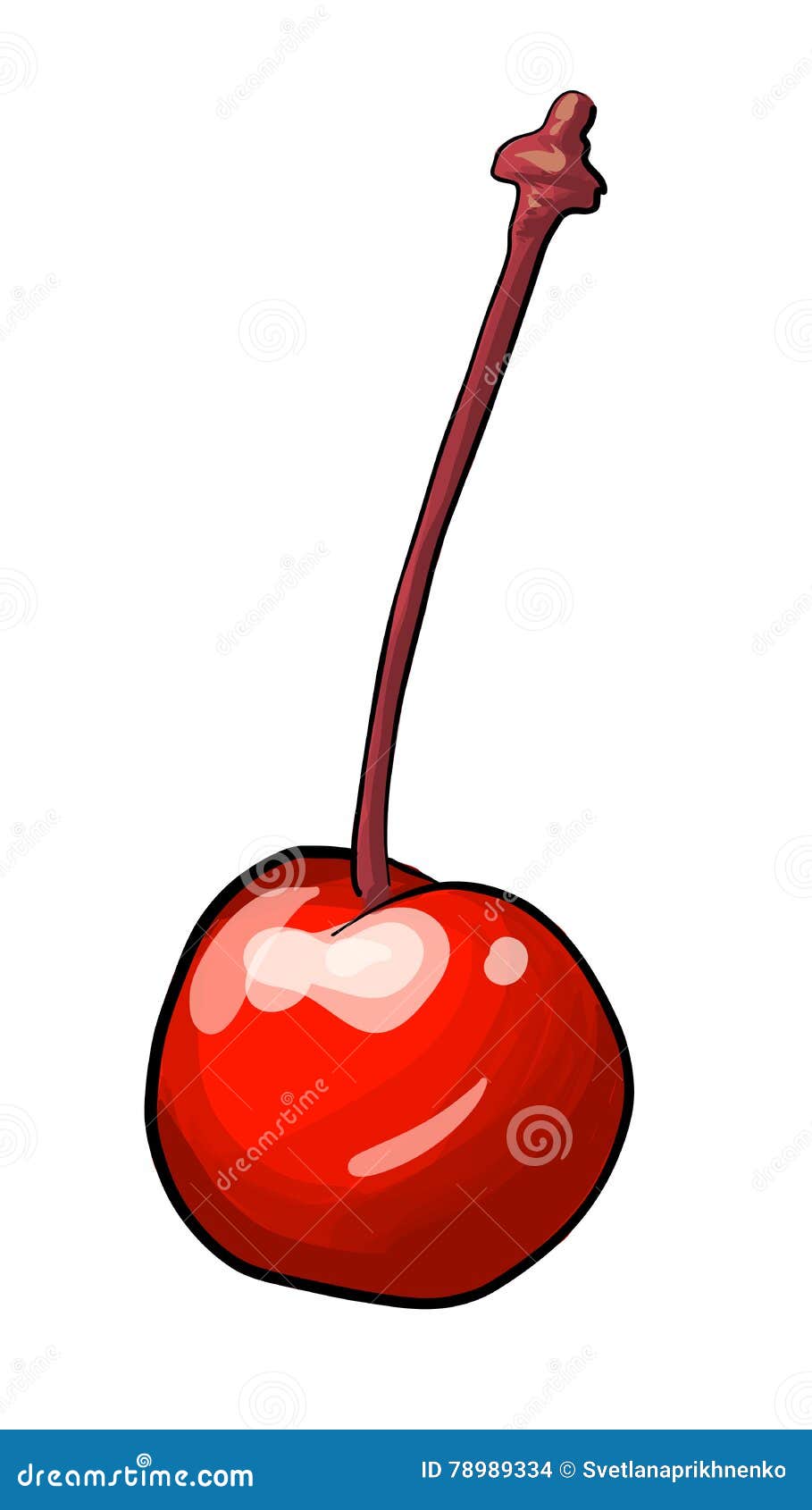 Kersen kleurrijke schets vector illustratie. Illustration of kers ...