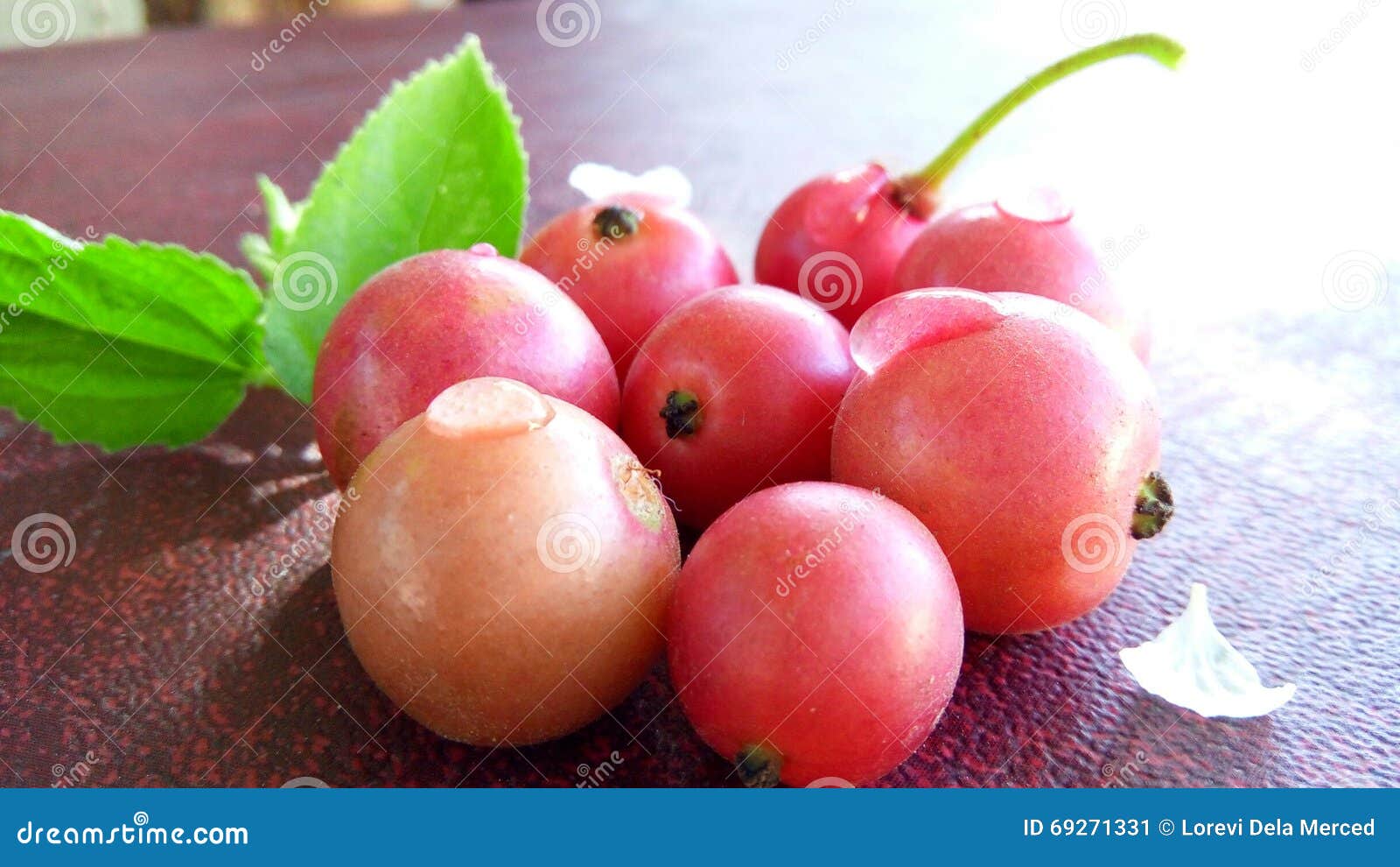 Kerson fruit stock image. Image of fruit, cherry, small - 69271331