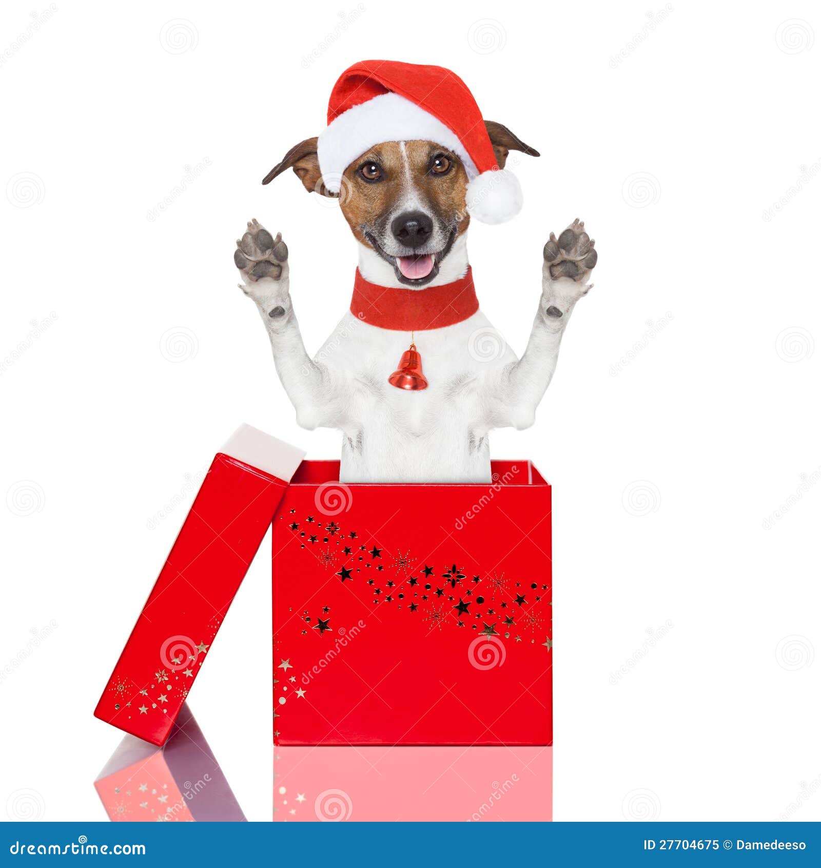 Kerstmishond Van De Verrassing in Een Doos Stock Afbeelding - Image of ...