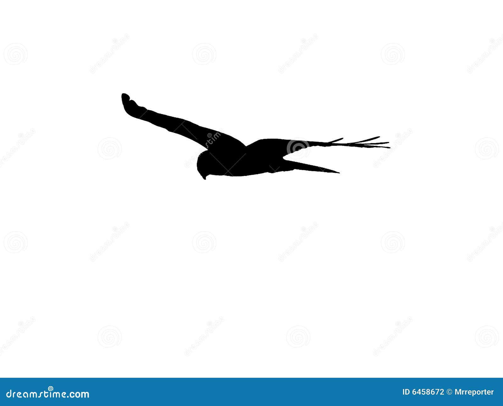 Kestrel Silhouette Logo Cartoon Vector | CartoonDealer.com #233074421