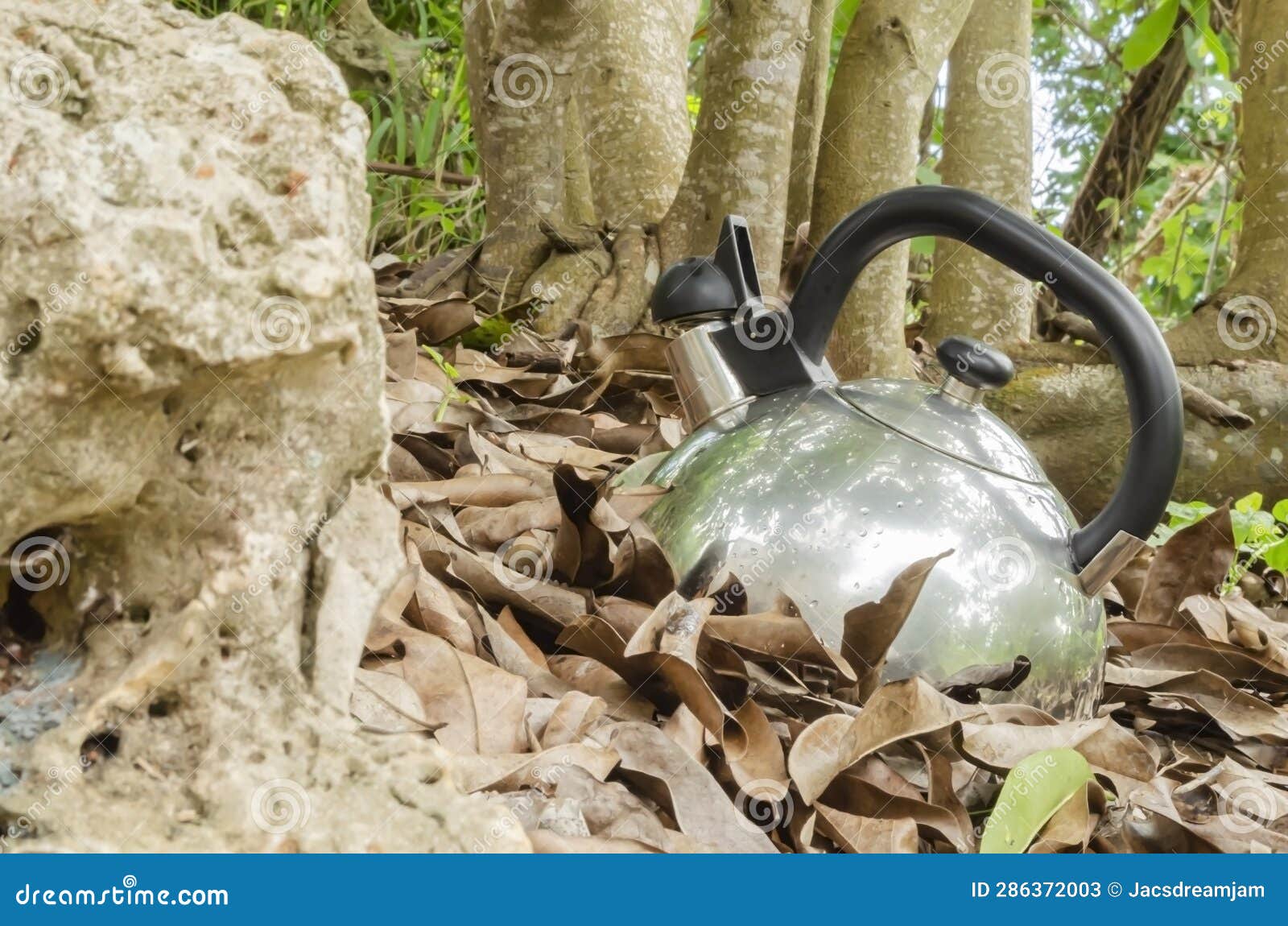 Kettle in Dried Trash between Rock and Tree Stock Image - Image of ...