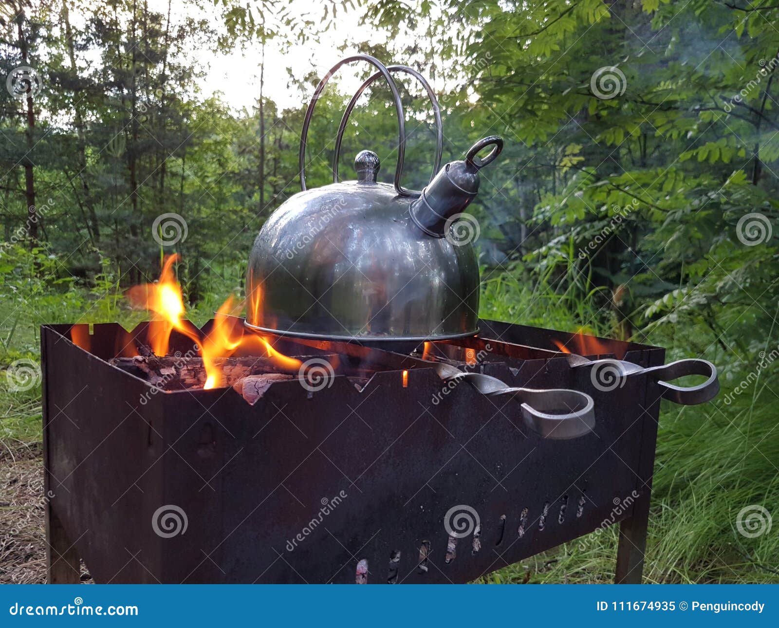 Kettle on the fire stock image. Image of kettle, forest - 111674935