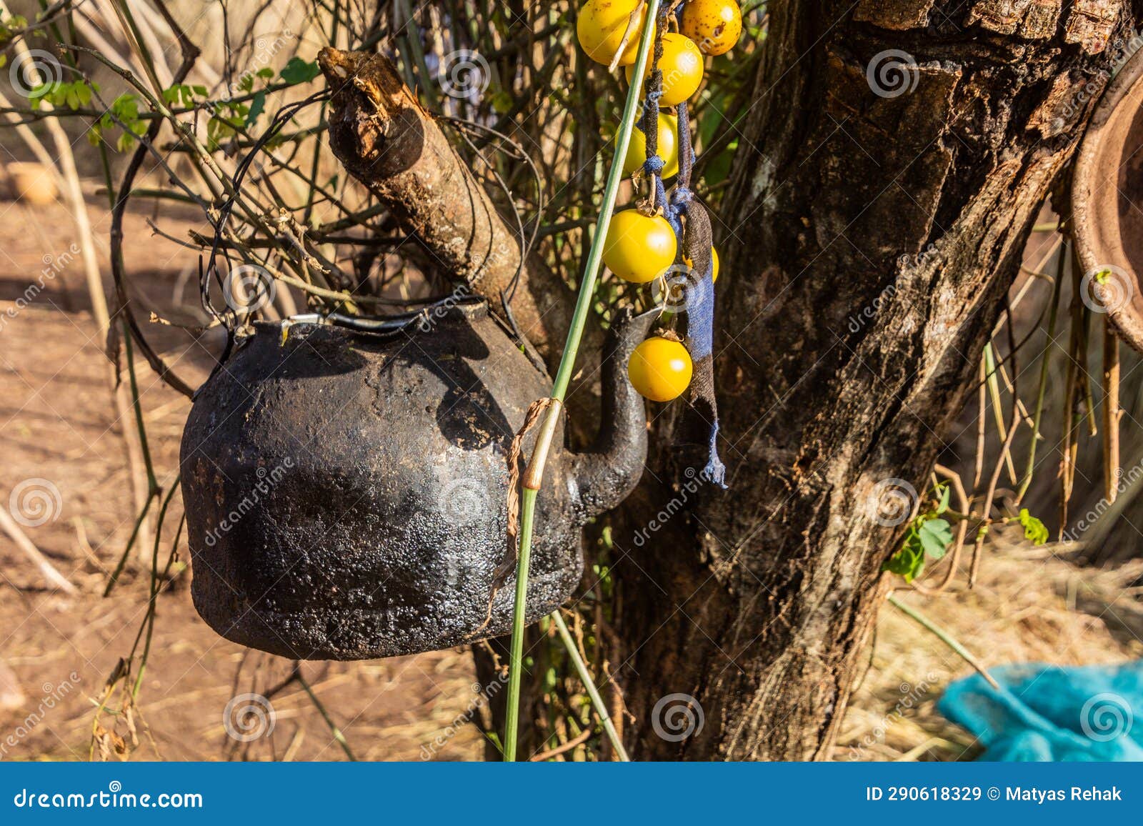 Kettle on a Tree in Mursi Tribe Village, Ethiop Stock Image - Image of ...