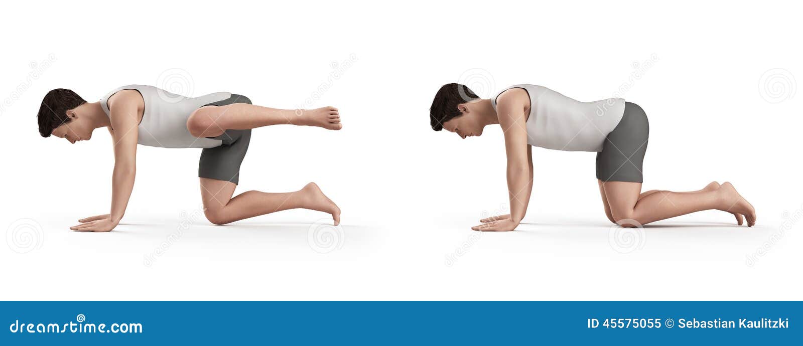 Fire Hydrant Exercise Works What Muscles