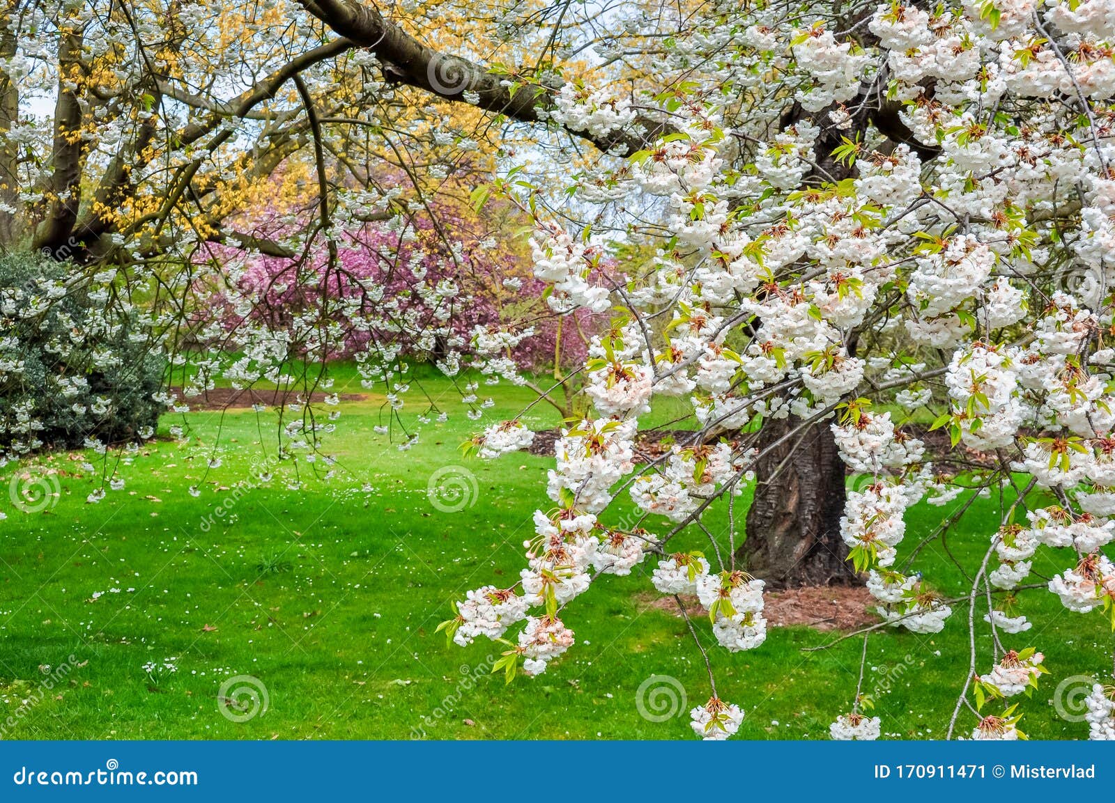 Kew Botanical Gardens in Spring, London, UK Stock Image - Image of ...