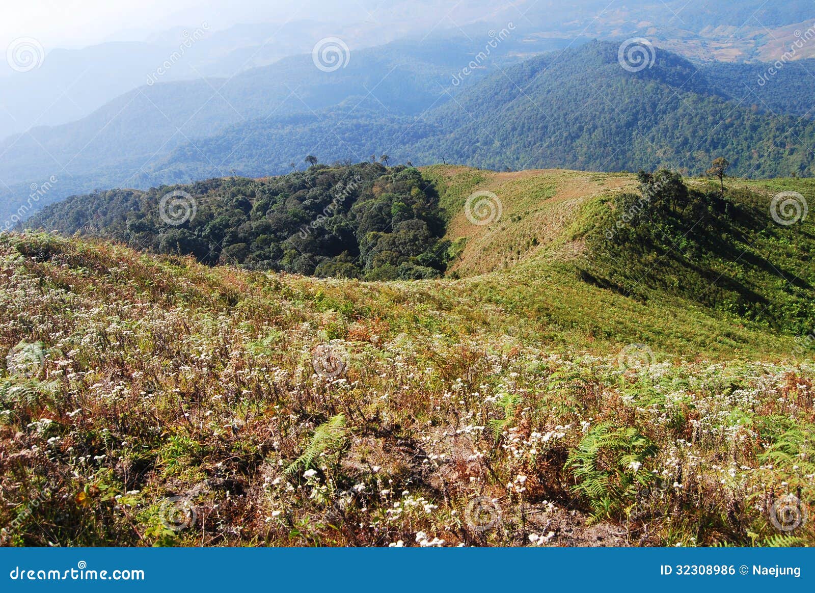 Kew Mae Pan Stock Photo | CartoonDealer.com #32308986