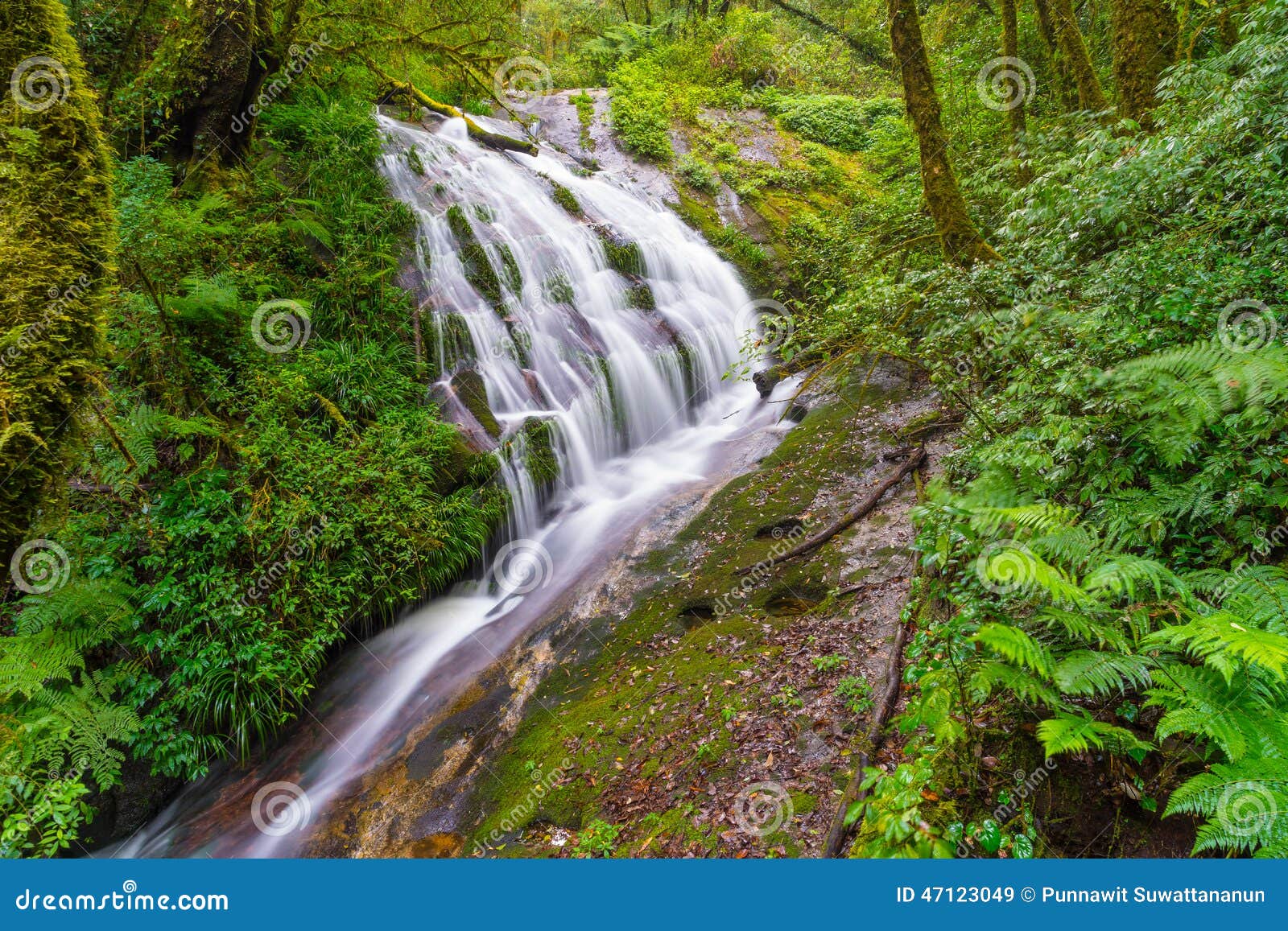 Kew Mae Pan Waterfall, Inthanon Mountain Stock Image - Image of stone ...