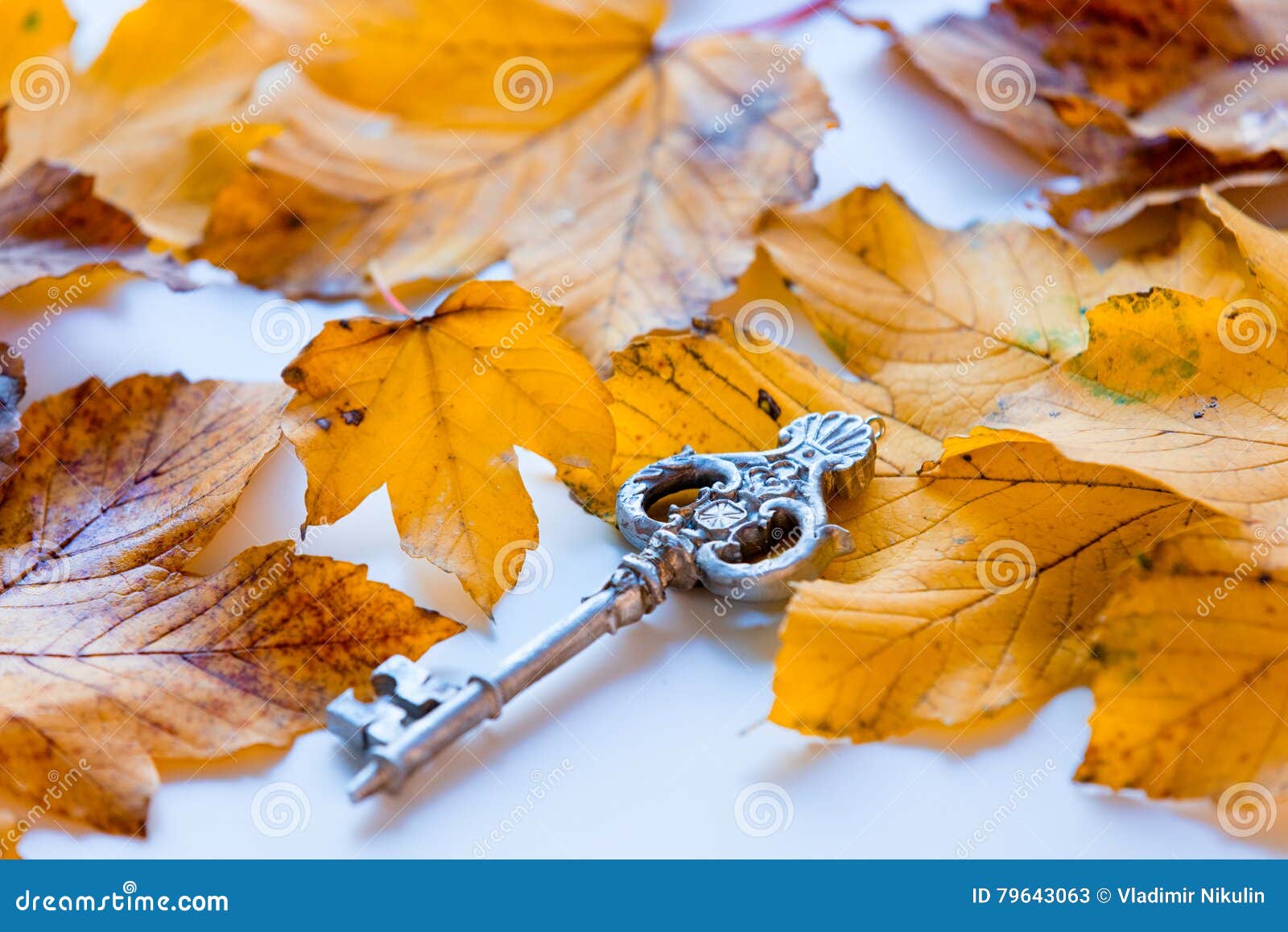 Key with Autumn Maple Leaves Stock Image - Image of autumn, look: 79643063
