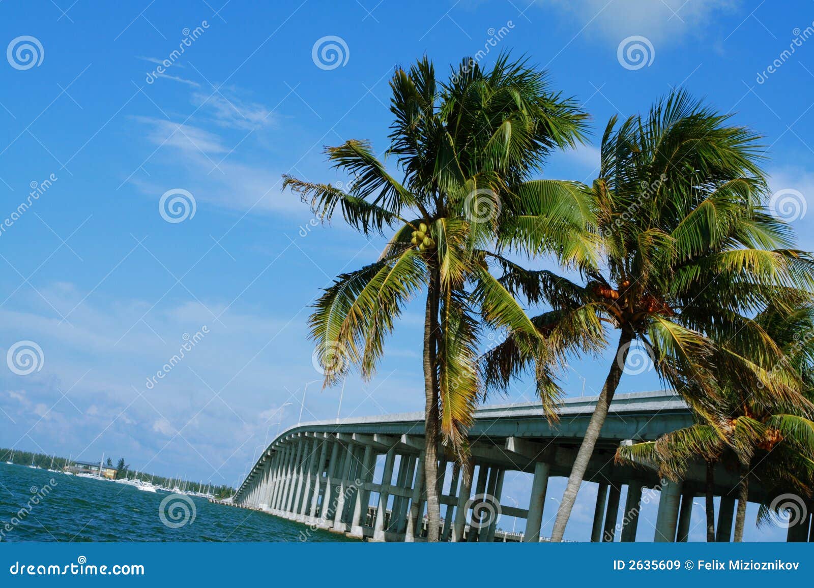 Key Biscayne Miami stock image. Image of real, outdoors - 2635609