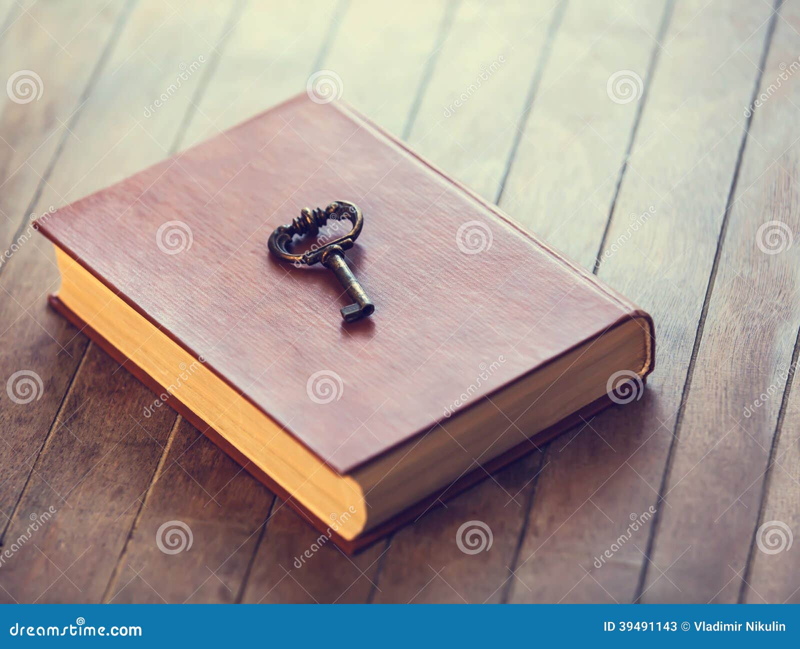Key and book stock image. Image of literature, brown - 39491143
