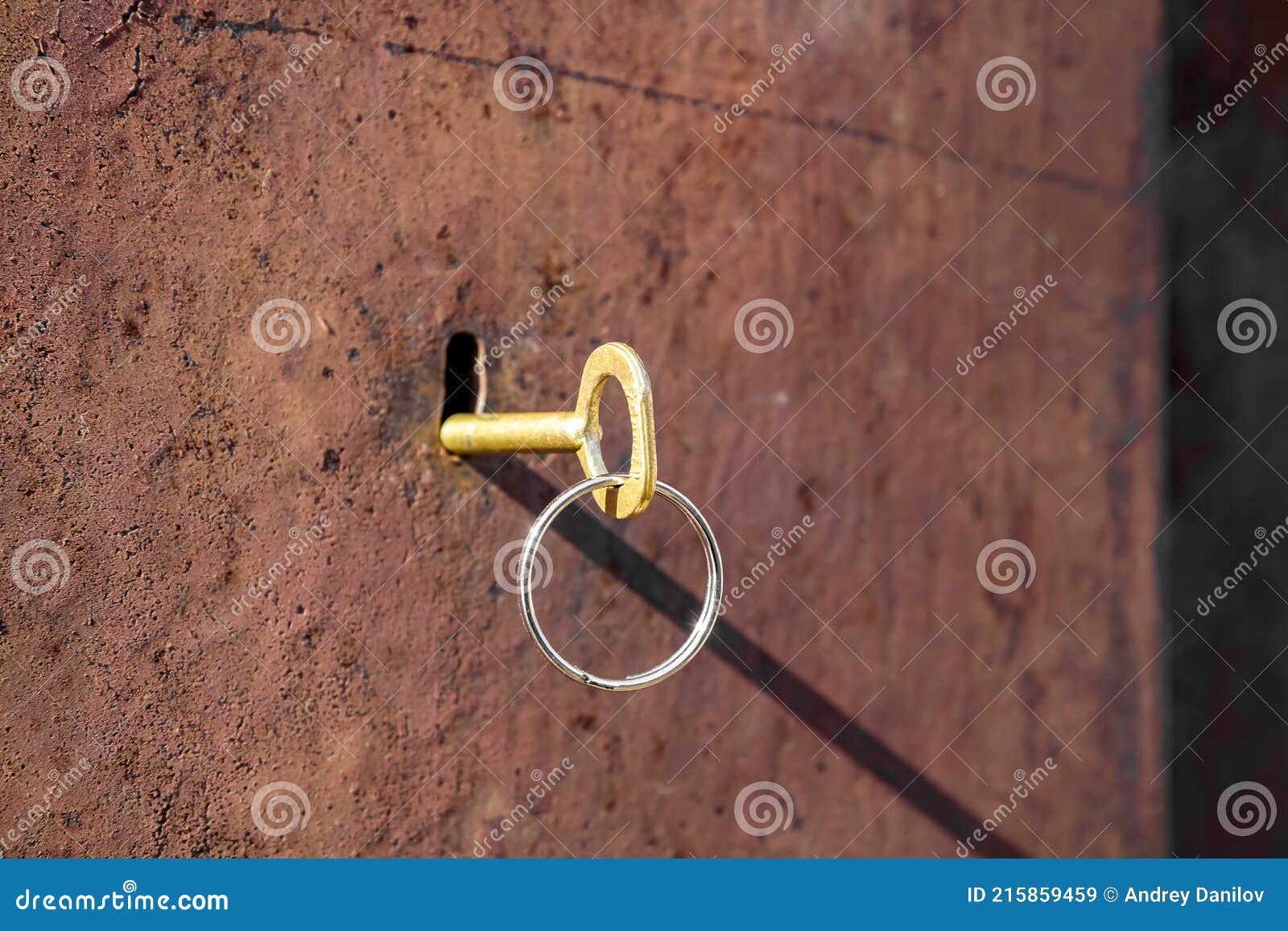 Key in the castle stock image. Image of castle, ornament - 215859459