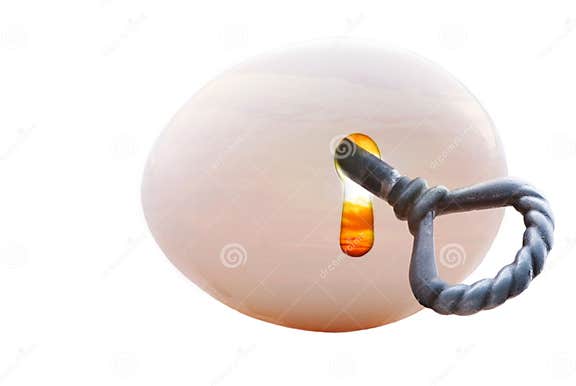Key in the egg stock photo. Image of conceptual, open - 14424876