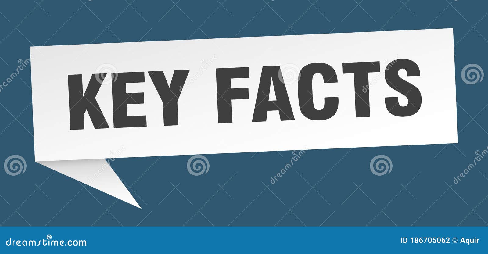 Key Facts Banner. Key Facts Speech Bubble Stock Vector - Illustration ...
