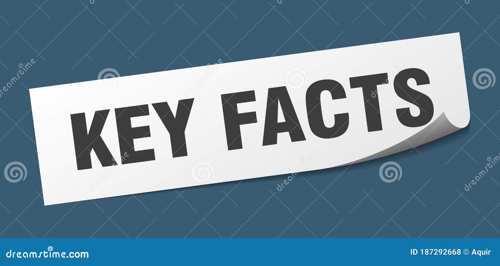 Key Facts Sticker. Key Facts Square Isolated Sign Stock Vector ...