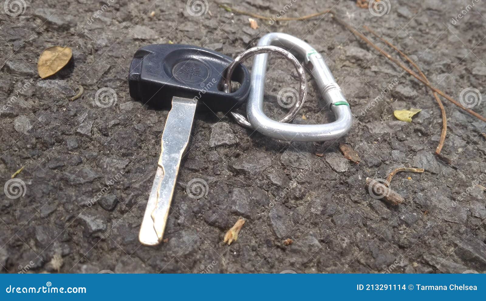 Key on the floor stock photo. Image of metal, floor - 213291114