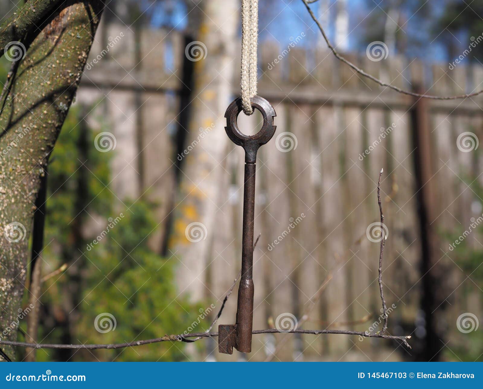 The Key in the Forest on a Tree Branch is a Universal Combination of ...