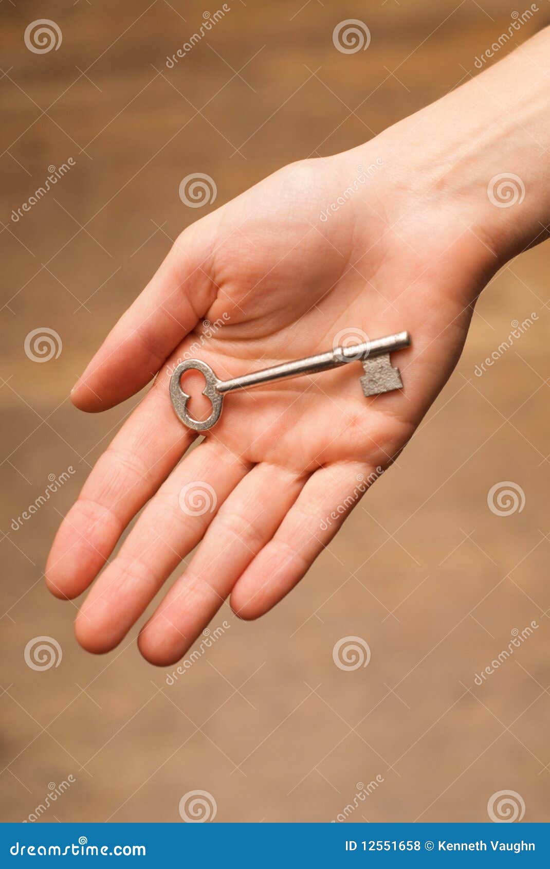 Key in Hand stock photo. Image of growth, opportunity - 12551658