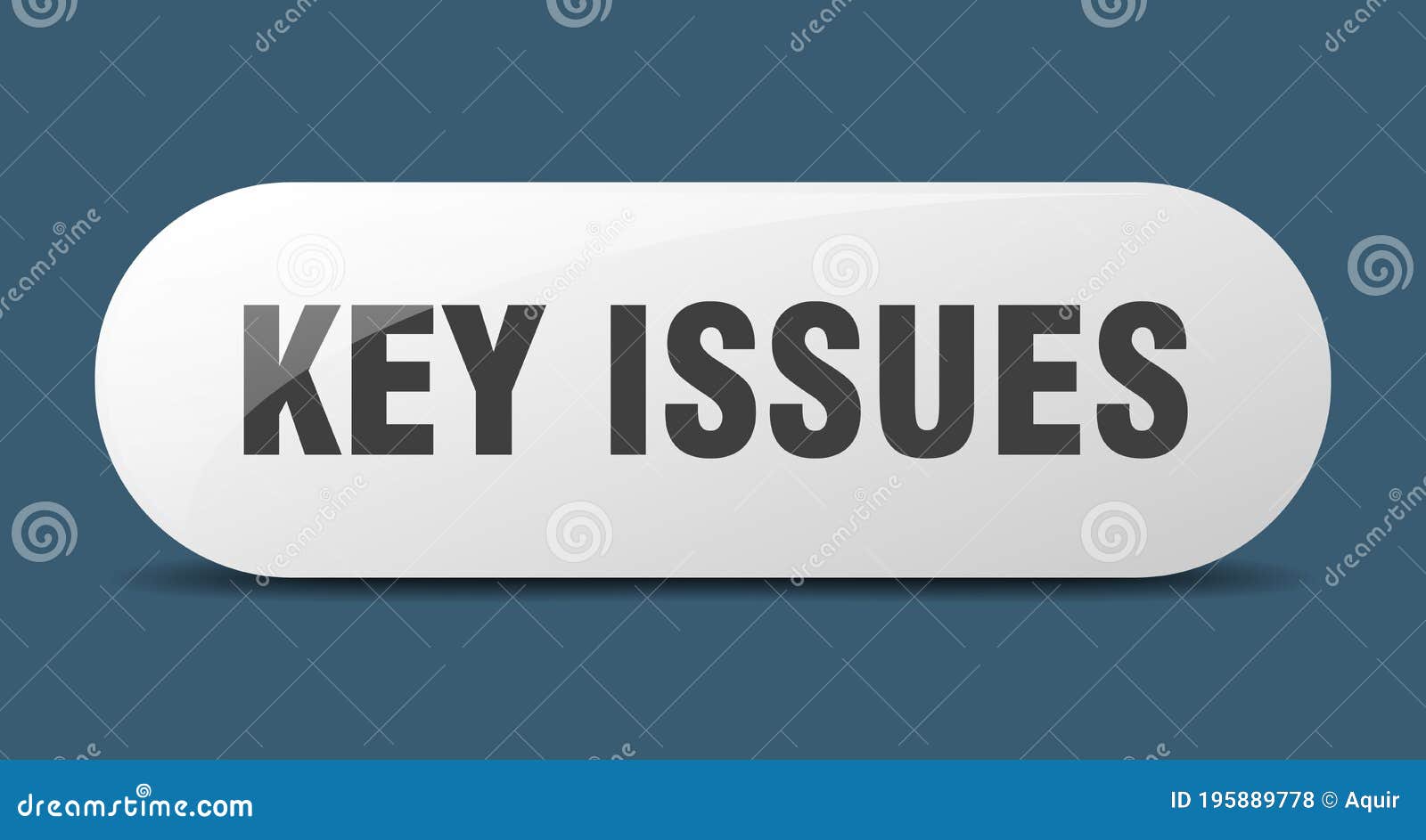 Key Issues Button. Key Issues Sign. Key. Push Button Stock Vector ...