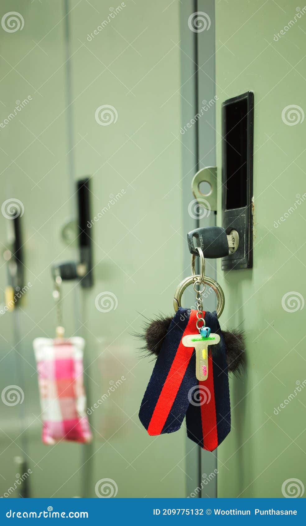 Key and keychain stock photo. Image of locker, lock - 209775132