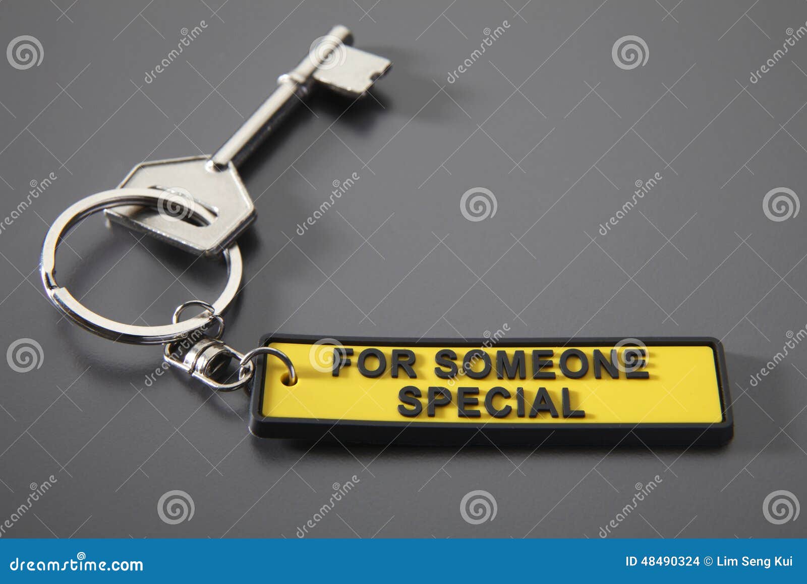 Key with keychain stock photo. Image of estate, ring - 48490324