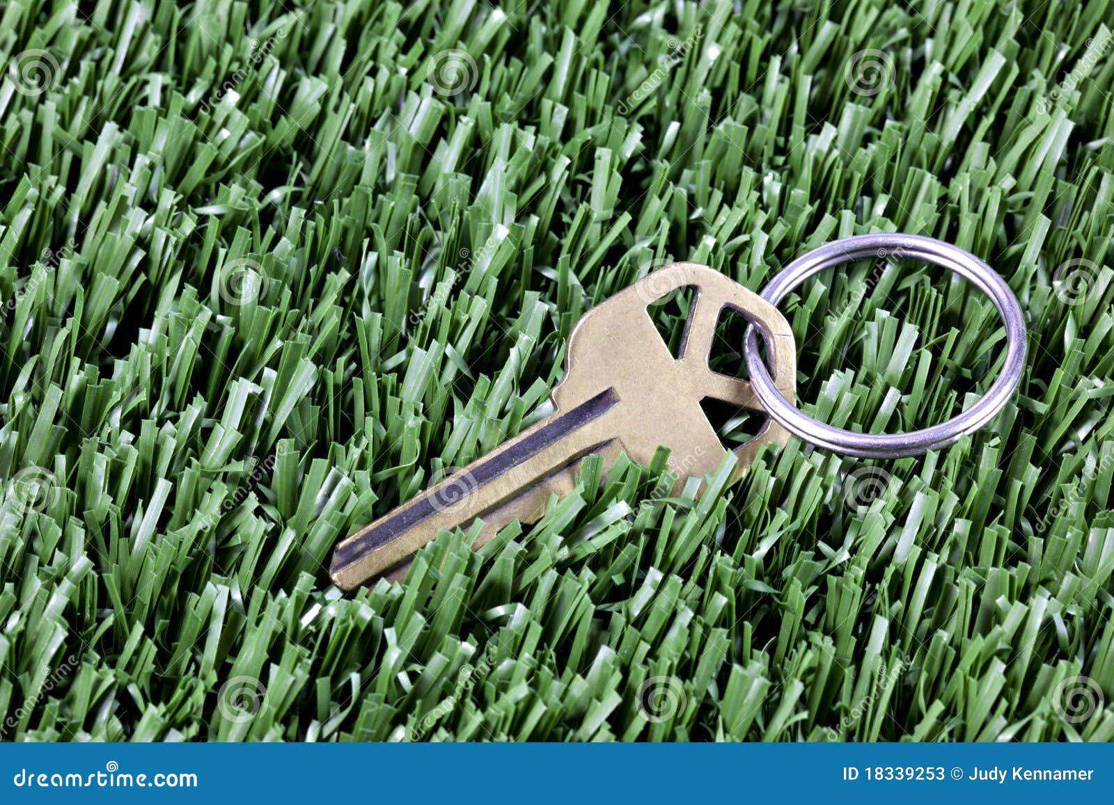 Key with Keyring Laying in Mown Grass Stock Image - Image of horizontal ...