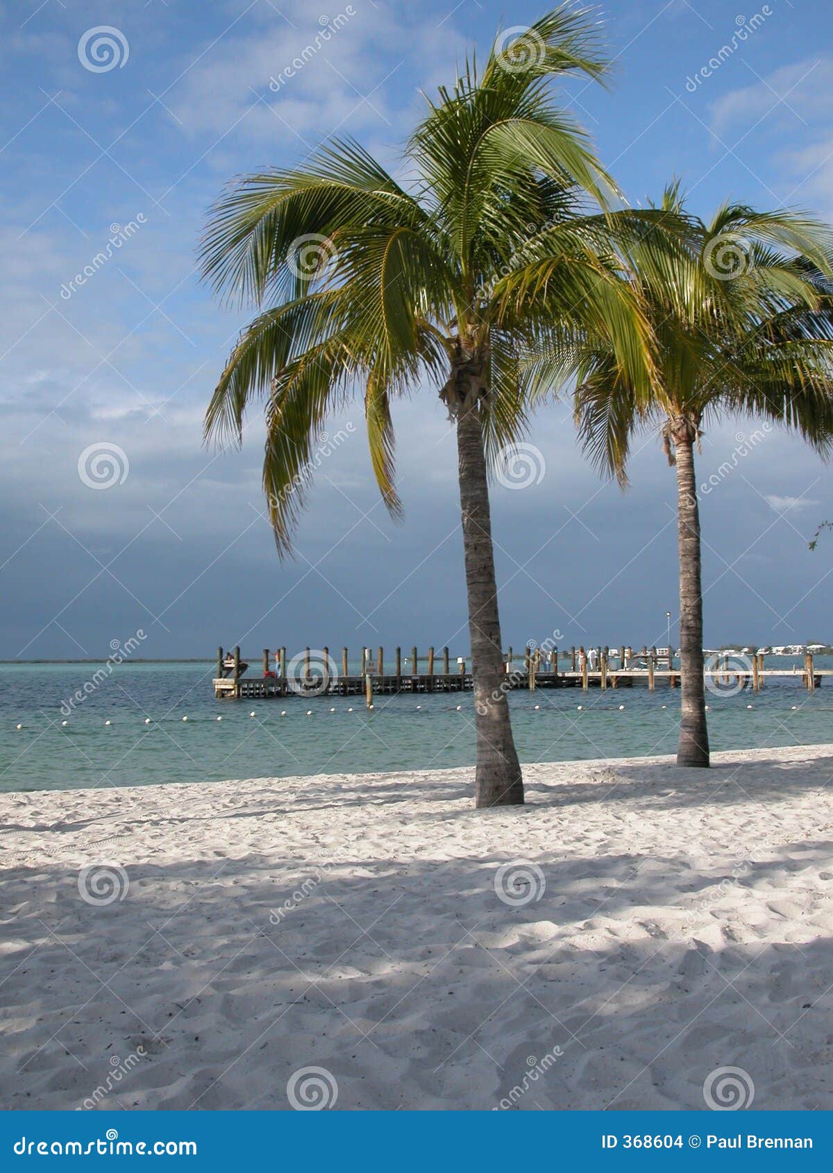 Key Largo Beach stock photo. Image of keys, dock, palms - 368604